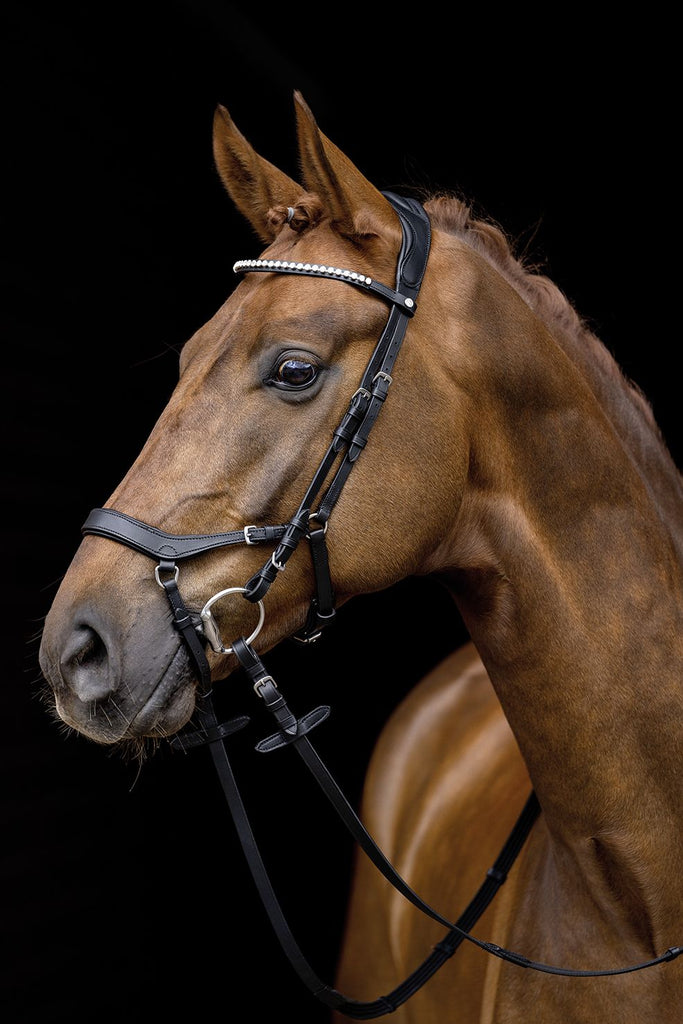 Bridle - Pro Anatomic - HKM — Meader Supply Corp.